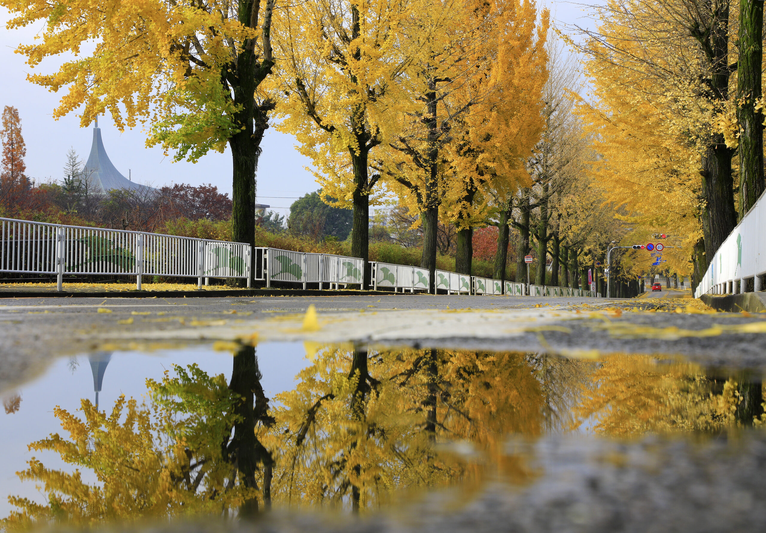 Tenri Station Area Course ｜ Time Travel City